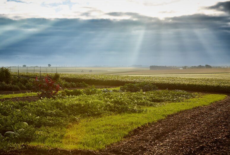 Farmer Livelihoods - Supply Chain - Hormel Foods