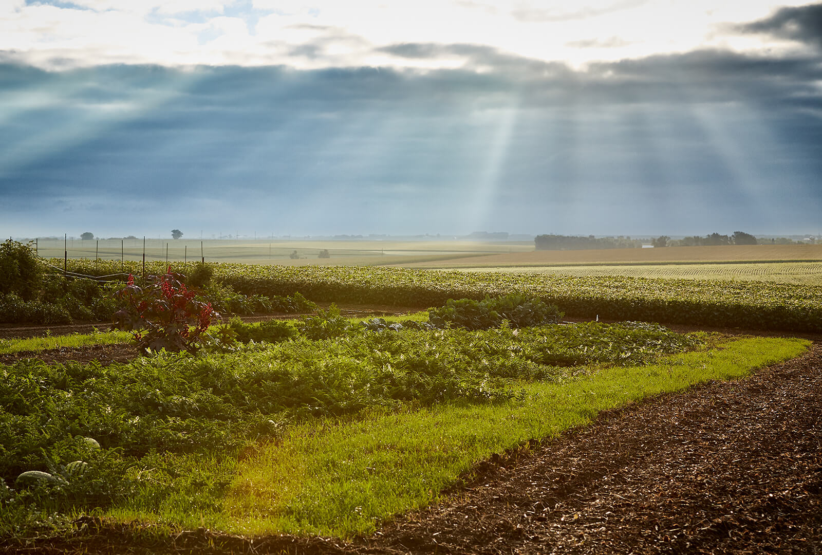 A Day on the Mogler Farm - Inspired - Hormel Foods