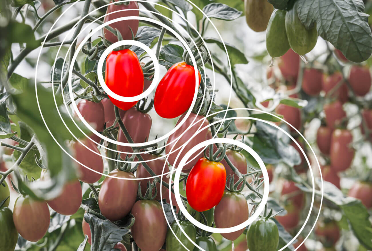 Building a Food Future - Inspired - Hormel Foods